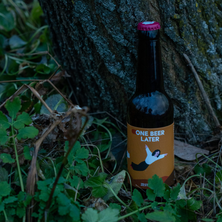 Zest Ale - 330 mL – One Beer Later